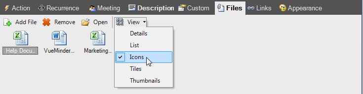 VueMinder Pro and Ultimate Help - File Attachments