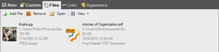 VueMinder Pro and Ultimate Help - Note Editor